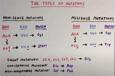 20230419 生物基础学习 氨基酸 密码子 突变 二进制 易经符号、密码子与氨基酸对照表 Csdn博客