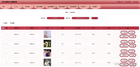 Django计算机毕业设计爱心宠物中心管理系统（程序lw）python爱心管理系统课程设计报告 Csdn博客