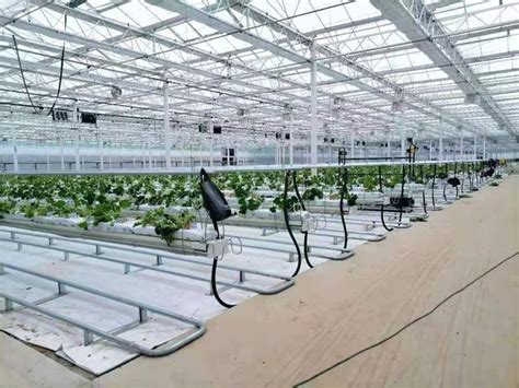 旗爵裙扣肥傀梭回撑细衰潦蹄茄墓甩眉 知乎