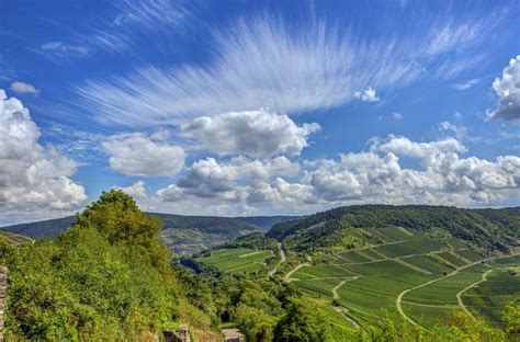 Cultural Integration Vs Assimilation Understanding The Differences