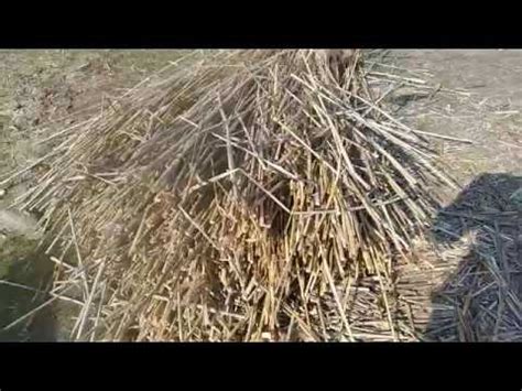 Маты из камыша (часть 1) - YouTube