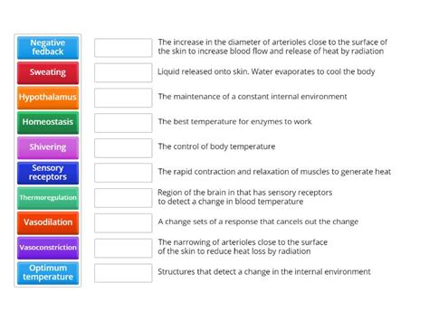 IGCSE Homeostasis Une Las Parejas