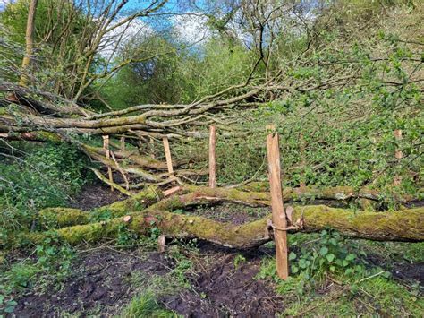 Sustainability Stories Climate Adaptation Ideas Inc Natural Flood