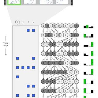 Example Of How The Particle Filter Incorporates New Evidence On Each Download Scientific