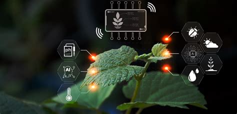 7 Ways Edge And Cloud Computing Are Enhancing Agricultural Productivity