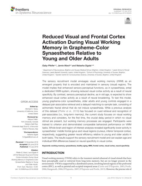 Pdf Reduced Visual And Frontal Cortex Activation During Visual