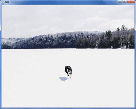 python opencv窗口名乱码 opencv namedwindow 名称 乱码 csdn博客