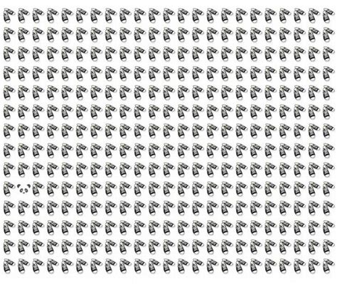 Найди Лишнее Картинки Для Взрослых