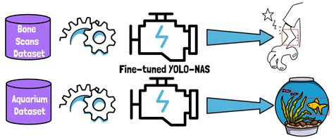 What Is Yolo Nas And How It Was Created