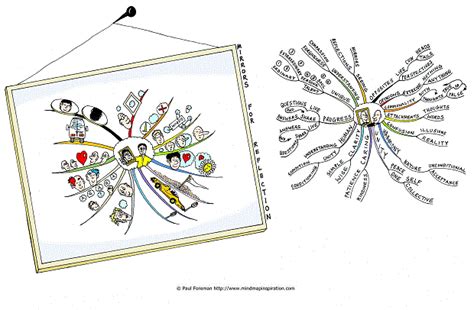 Mirrors For Reflection Mind Map