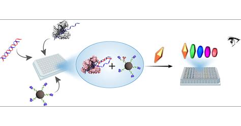 Crispr Cas12a Enabled Amplification Free Colorimetric Visual Sensing Strategy For Point Of Care
