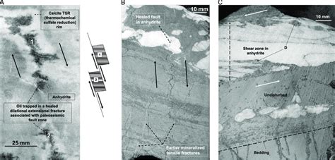 Evidence Of Healed Paleoseismic Ruptures And Ductile Flow Affecting The