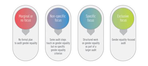 Determining The Audit Focus Canadian Audit And Accountability Foundation