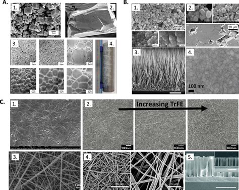 Example Of Microscale Morphologies Of Piezoelectric Materials A1 Sem Download Scientific