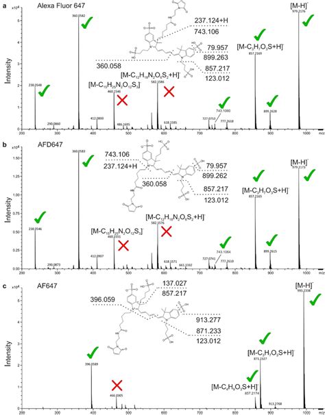 Mass Spectrometry‐based Structure Elucidation Fragmentation Mass Download Scientific Diagram