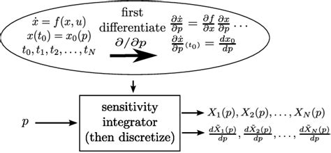 First Differentiate Then Discretize Download Scientific Diagram