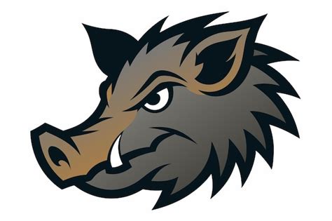 Wild Boar Head Vector Illustration Cartoon Clipart And Line Art Design