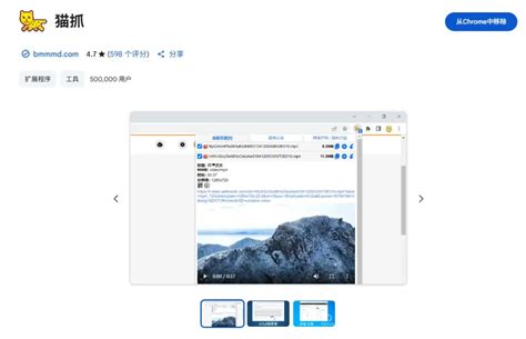 网页媒体嗅探工具「猫抓 Cat Catch」 ：新增侧边栏功能，网页资源嗅探更高效 屌软件