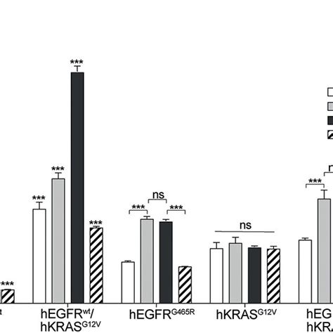 Paradoxical Growth Stimulation Of Ras Mutant Cells By Cetuximab Download Scientific Diagram