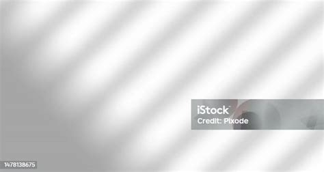 사실적인 흐릿한 자연광 나뭇잎 손바닥 및 창 그림자 오버레이가 벽 종이 또는 프레임 질감 추상 배경 여름 봄 가을에 제품 프레젠테이션 연단 및 모형 계절에 적용됩니다 0명에