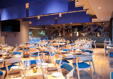 26 Tiqa Pan Mediterranean