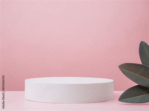 핑크 스튜디오 배경 Stock Illustration Adobe Stock