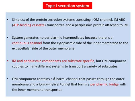 Secretion Systems Of Bacteria Pdf