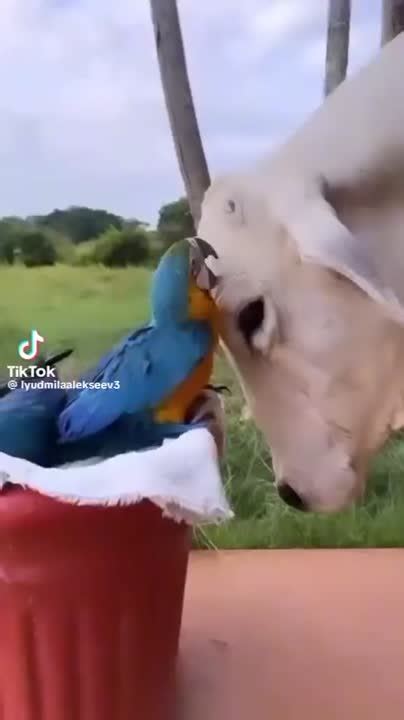 Kcloud Llc On Linkedin Love Like Comment Share Growyourskill