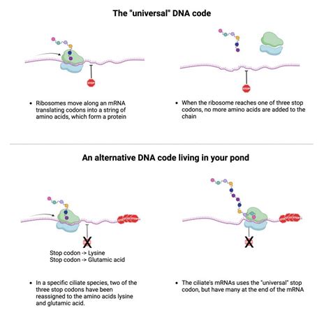 Hanaa Fayed Posted On Linkedin