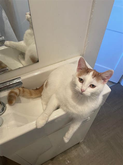 2450 Best Juno Images On Pholder Beastars Spaceporn And Interestingasfuck