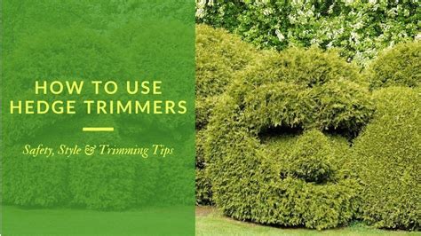 How To Use A Hedge Trimmer A Step By Step Guide