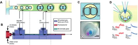 Microfluidic Generation Of Multisomes A Microfluidic Generation Of Download Scientific
