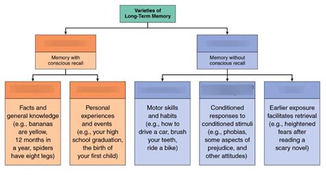 Chapter 8 Memory Diagram Quizlet