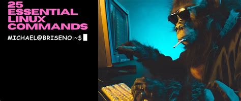 25 Essential Linux Commands Cli Dev Community