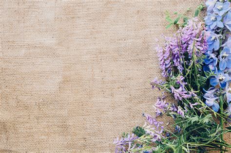 삼 베 평면도에 분홍색 꽃입니다 텍스트에 대 한 여유 공간 0명에 대한 스톡 사진 및 기타 이미지 0명 고풍스런 공장 산업 건물 Istock