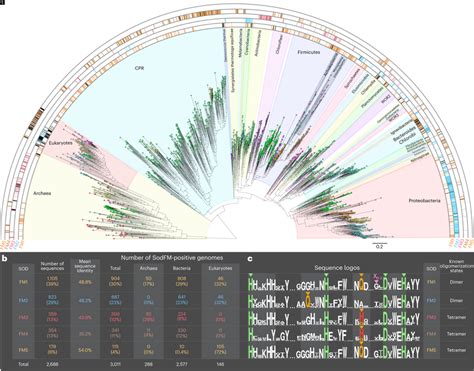 Evolutionarily Distinct Sodfm Subfamilies Have Wide And Variable