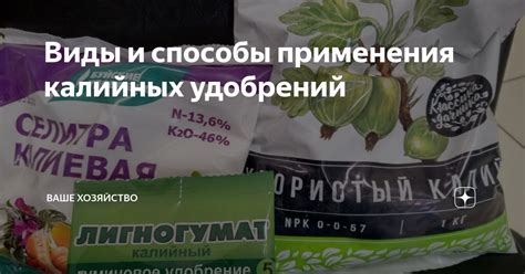 Виды и способы применения калийных удобрений Ваше хозяйство Дзен