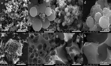 SEM Images Of HPC 0 A And B HPC 2 C And D HPC 4 E And F And Download Scientific