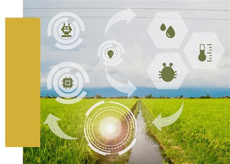 Lorawan In Smart Agriculture Farming Choovio Iot Solutions