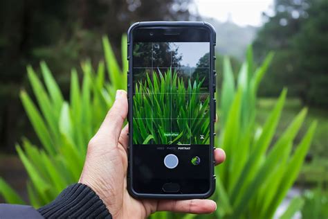 How To Get Grid Lines On Iphone Camera A Beginners Guide Camera Hub