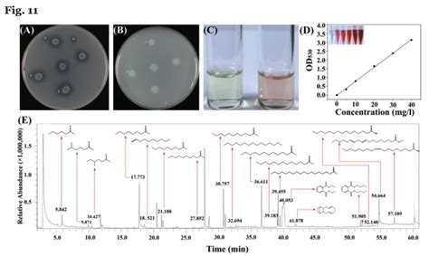 Genomic And Metabolomic Insights Into The Antim