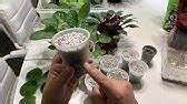 Тепличка для фиалок - YouTube