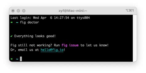 I Don T Get Get Any Suggestion In Iterm Right Now Can Anybody Help Issue Withfig Fig