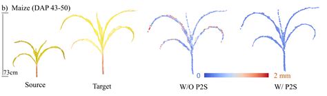 Plant4d Spatio Temporal Registration Of Plants Non Rigid 3 D Structures