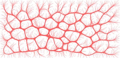 Kernel Density Estimation Based Edge Bundling Kernel Density Estimation Generative Design