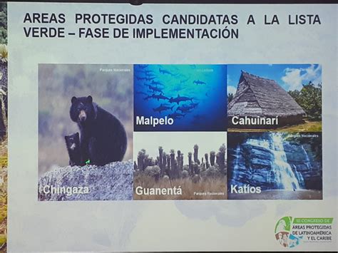 Acciones Para Conservar El Patrimonio Natural Y Cultural Wikipedia Cuela