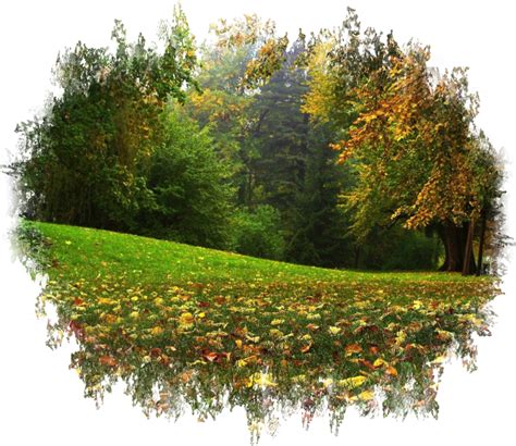 Природа на прозрачном фоне Zefirkaclub фото и картинки