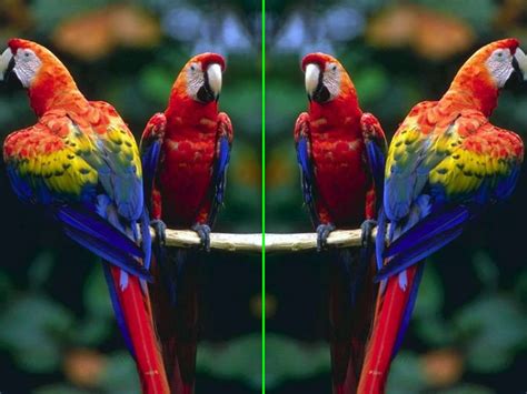 Симметрия Урок математики для учащихся 4 класса Online Presentation