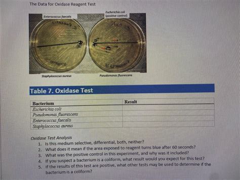 Solved The Data For Oxidase Reagent Test Escherichia Coli