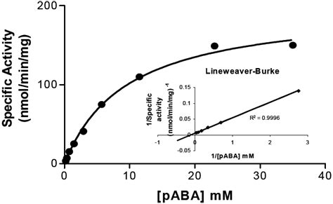 Purification Kinetic Characterization And Site Directed Mutagenesis Of Methanothermobacter